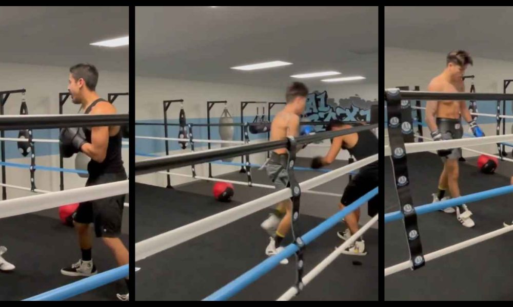 Boxeador encuentra al hombre que le hacía bullying en la escuela y le ...