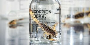 ¡Para valientes! 5 insectos para vodka, vino y mezcal - ANTENA SAN LUIS