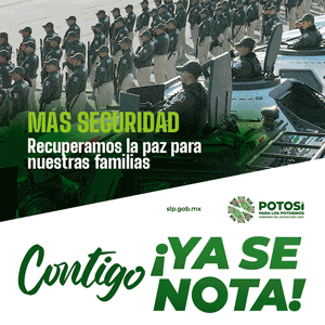 'Frankenstein', el conejo más feo del mundo, causa furor en redes ...